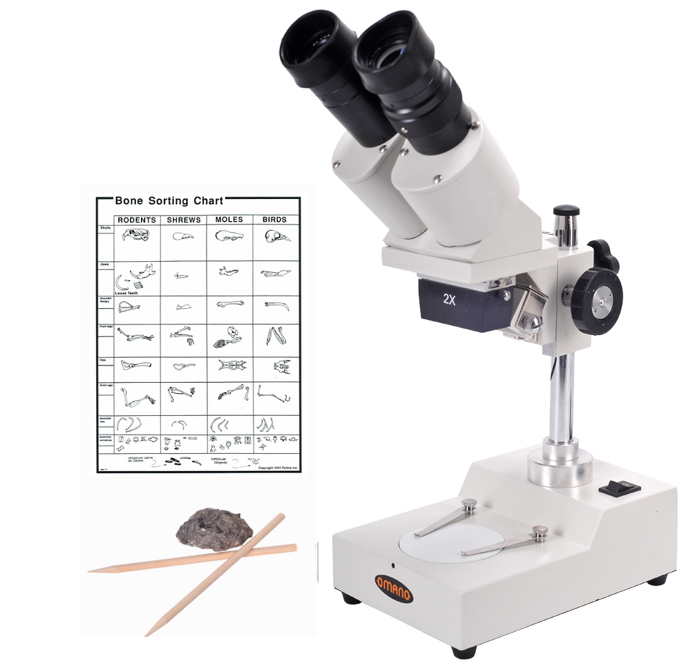 OM20-1LP 20X Student Stereo Microscope Gift Package - Microscope.com